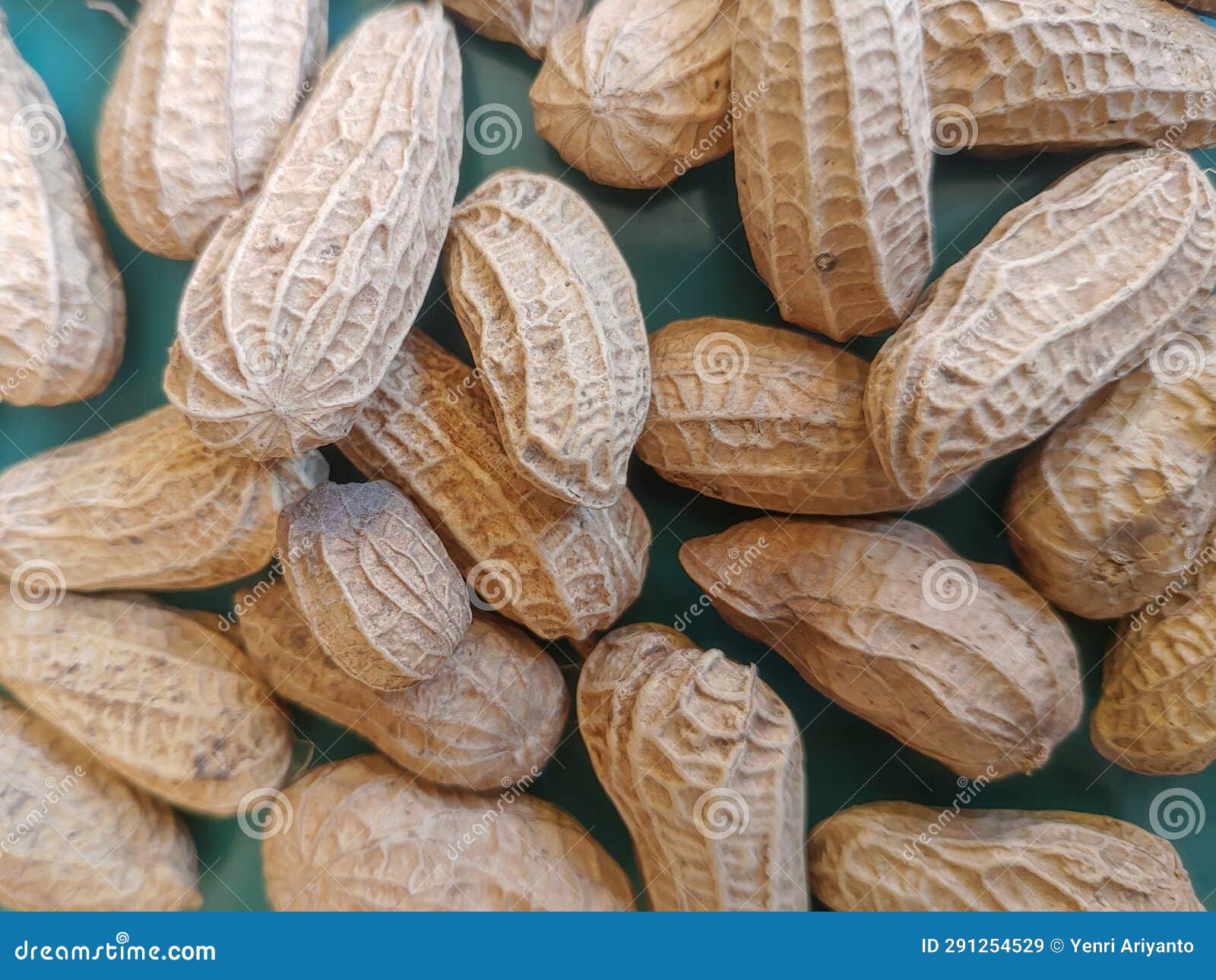 Peanuts Have a Rough, Cracked Skin Surface Texture Stock Image - Image ...