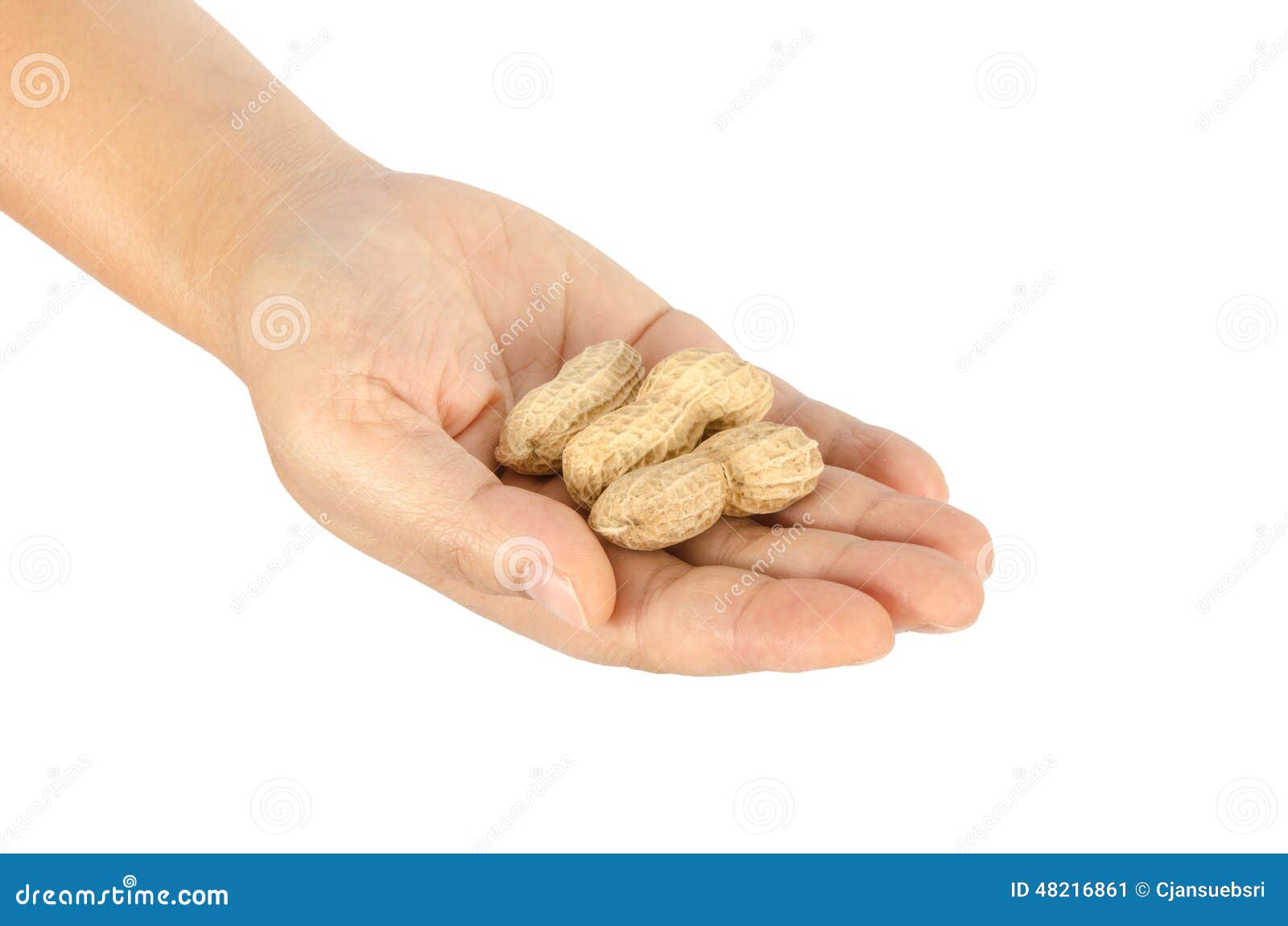 Peanuts stock image. Image of kernel, healthy, health - 48216861