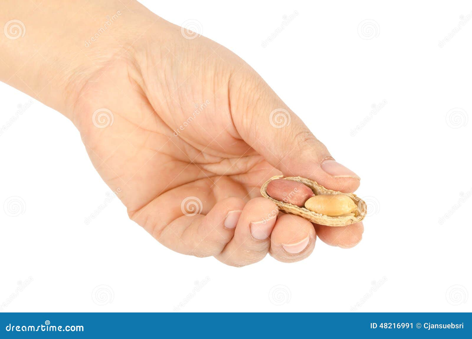 Peanuts stock image. Image of roasted, hand, natural - 48216991