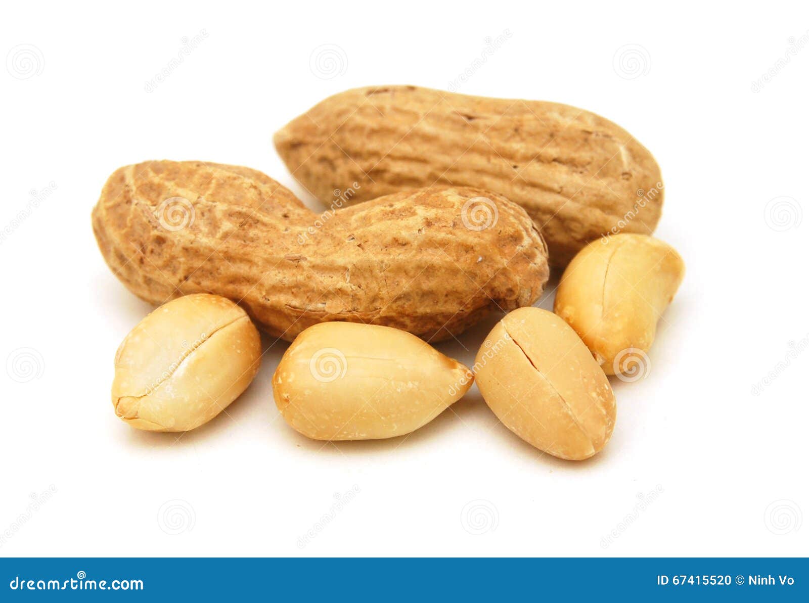 Peanuts stock photo. Image of monkey, goober, white, peanuts - 67415520