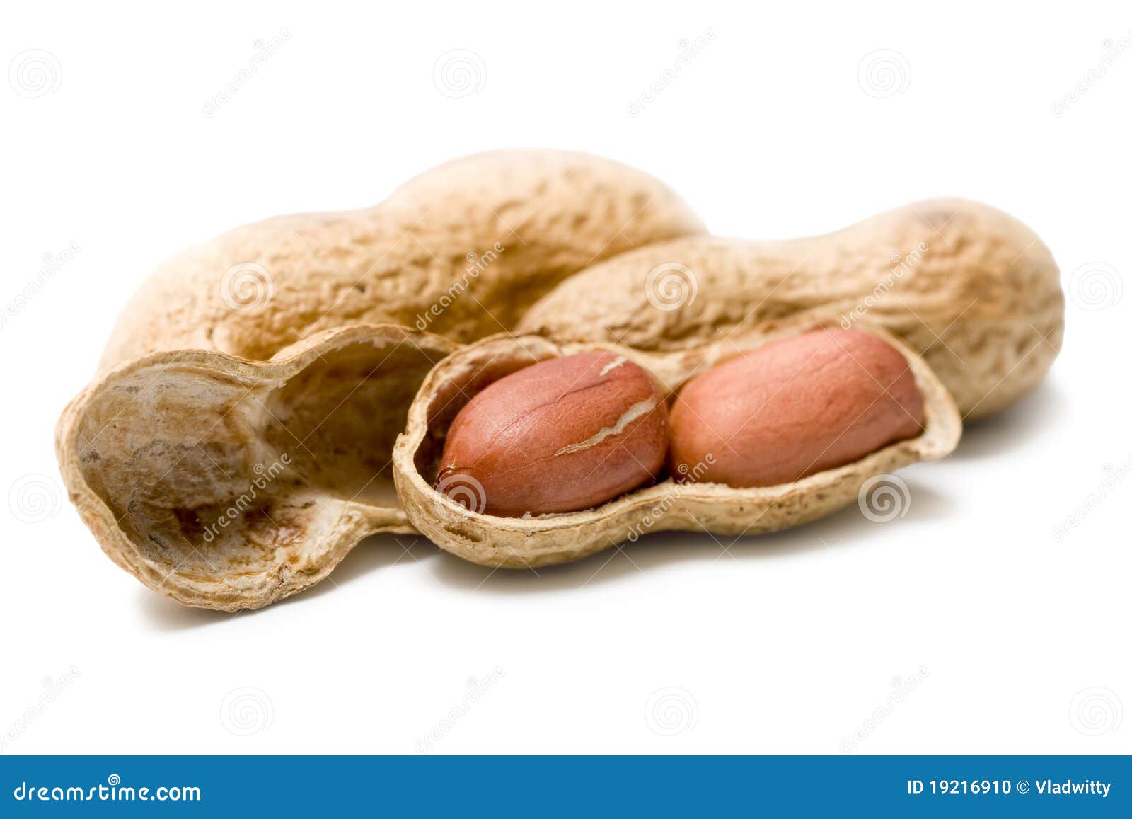 Peanuts isolated stock photo. Image of shot, life, isolated - 19216910