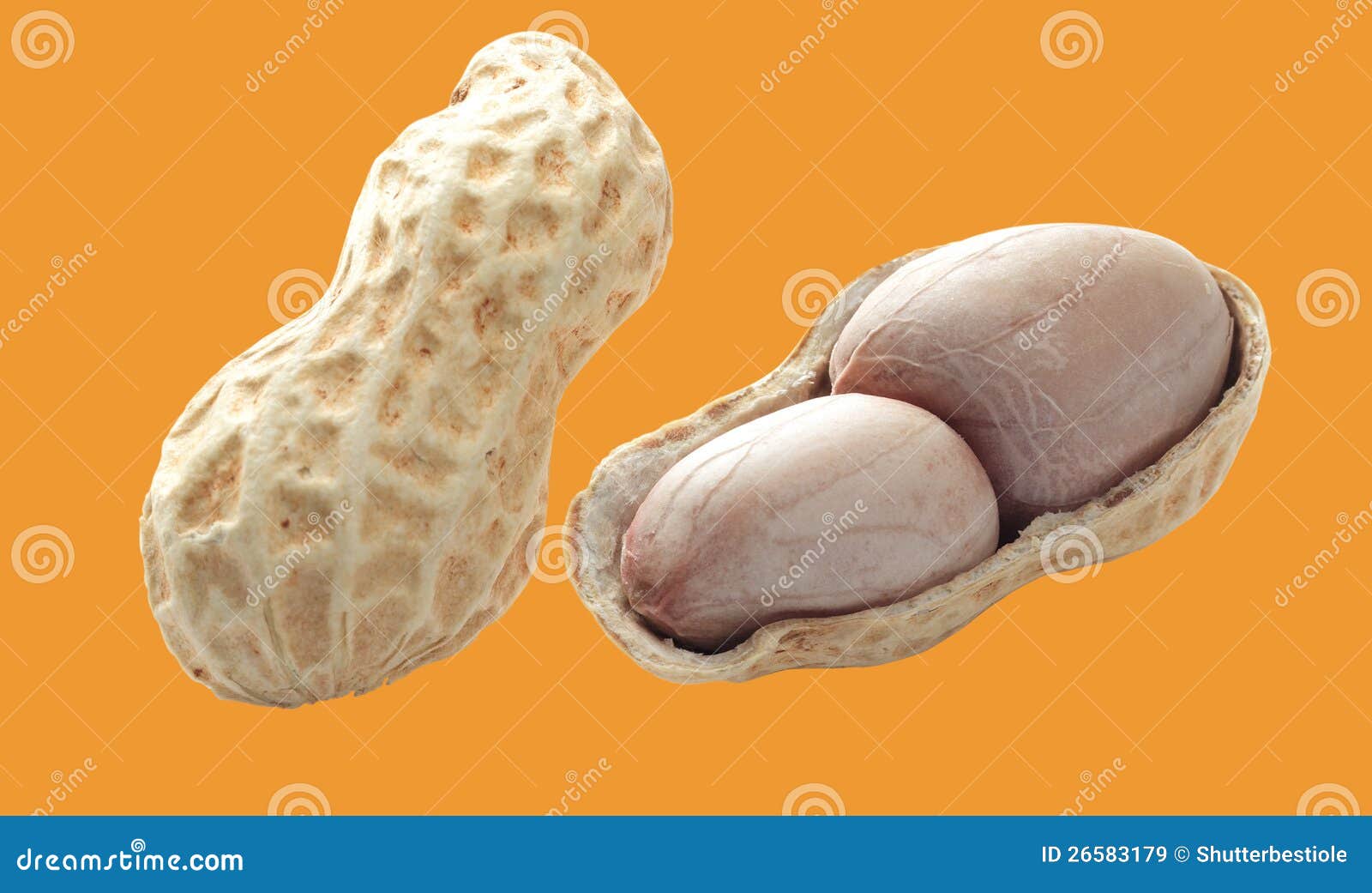 Peanuts isolated stock image. Image of group, fruit, nutshell - 26583179