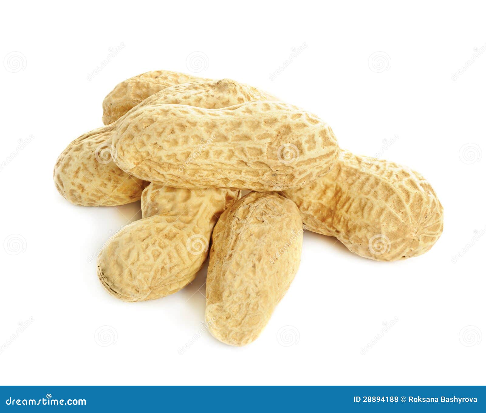 Peanuts isolated stock photo. Image of seed, brown, gourmet - 28894188