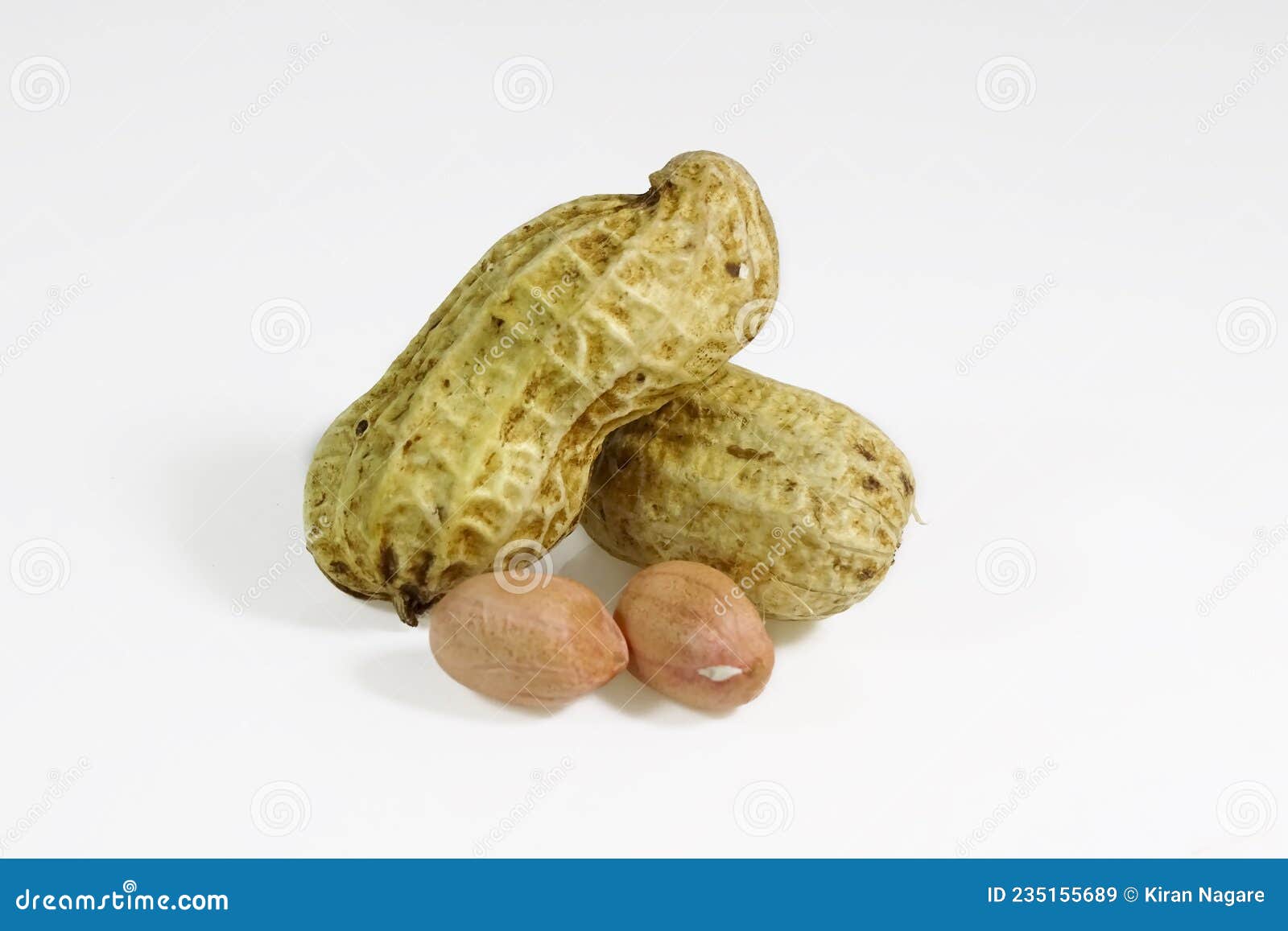Peanuts isolated. stock image. Image of healthy, product - 235155689