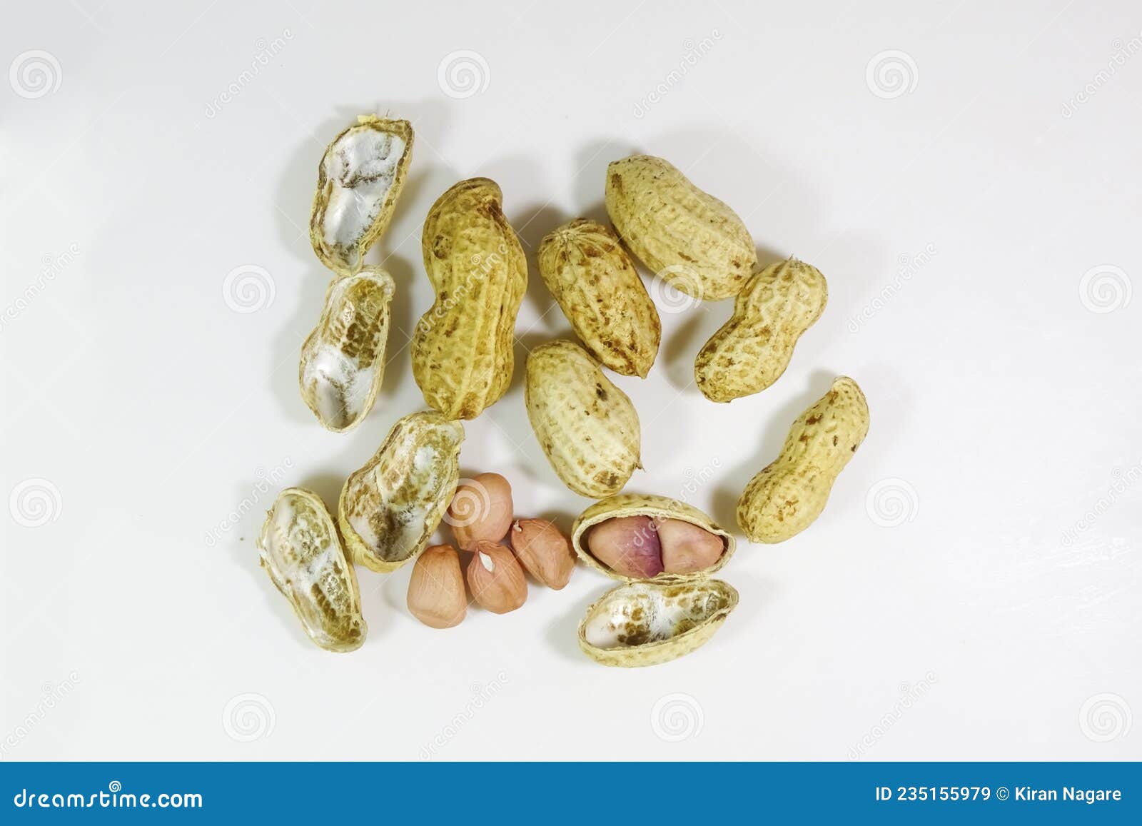 Peanuts isolated. stock image. Image of dried, healthy - 235155979