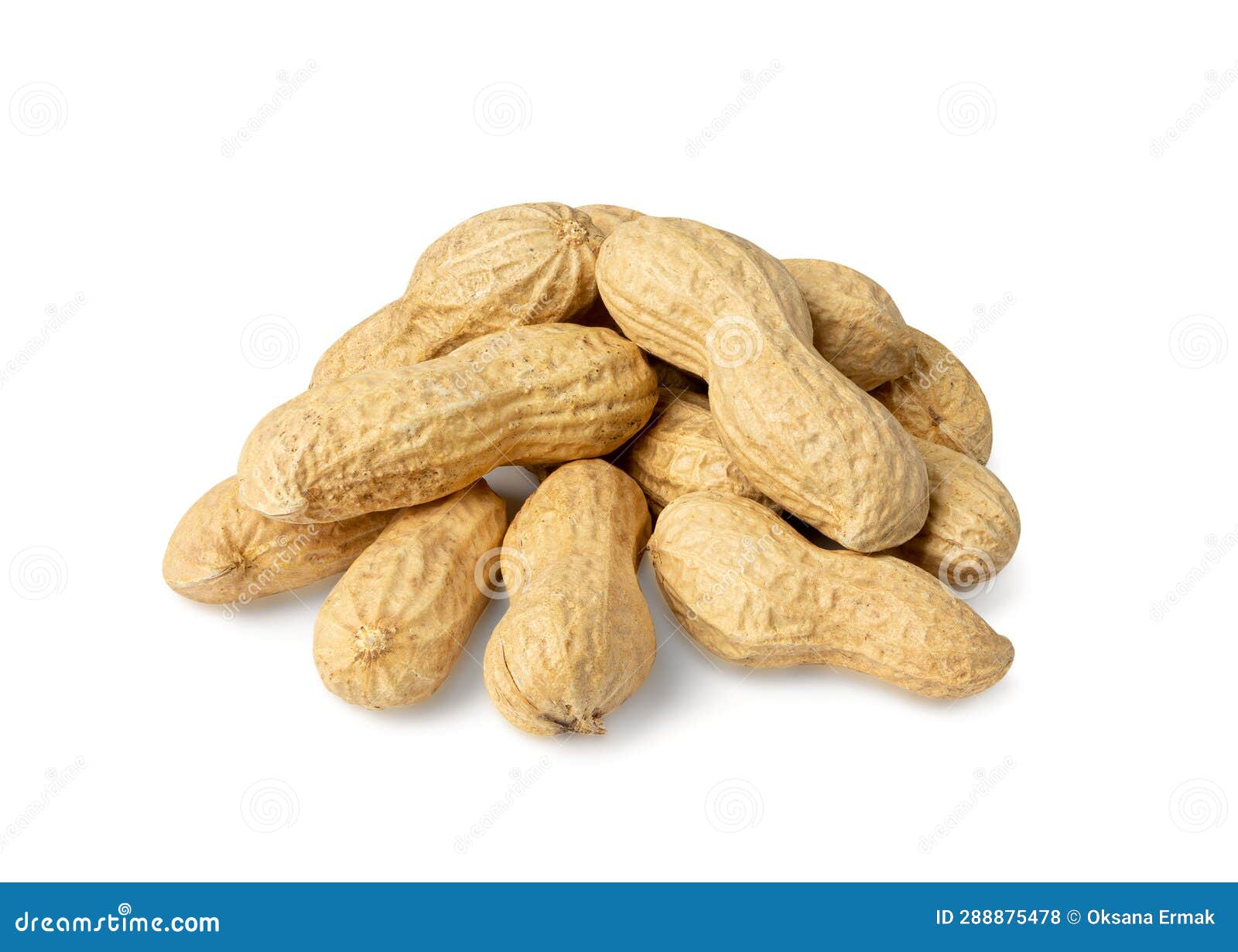 Peanuts Isolated, Roasted Arachis Nuts, Open Pea Nut, Whole Groundnut ...