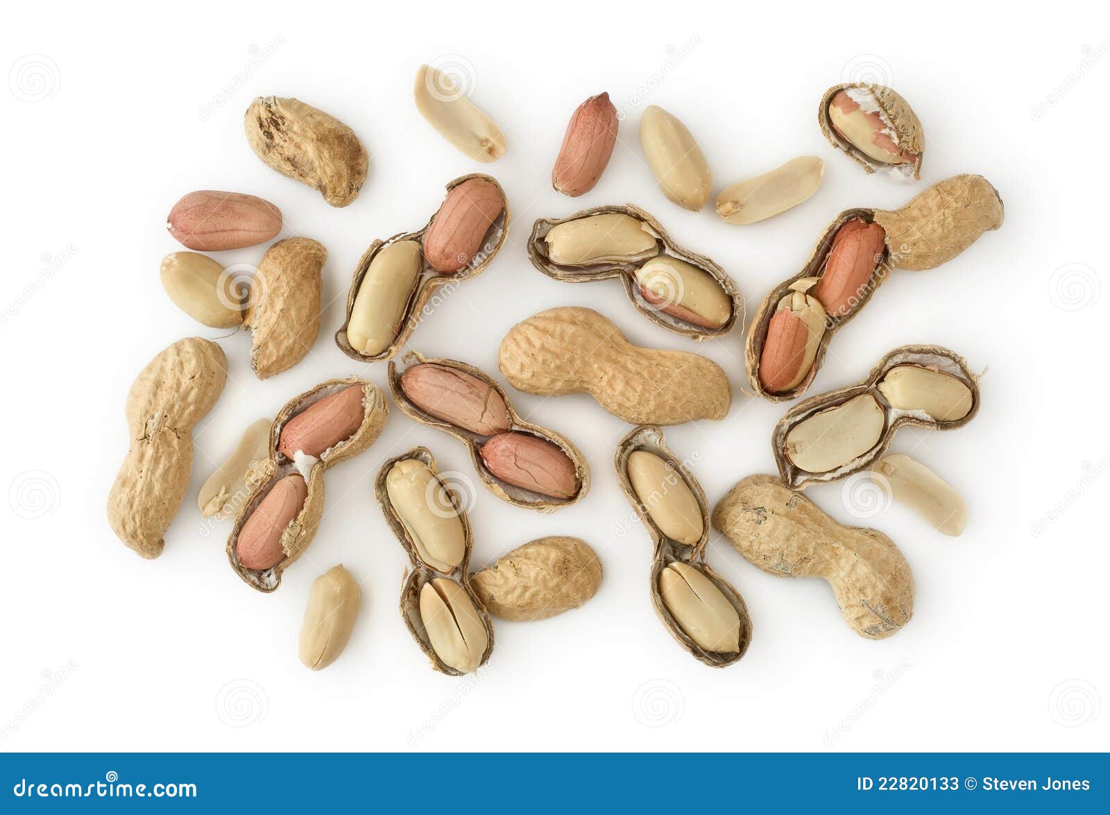 Peanuts Isolated on White stock image. Image of groundnut - 22820133