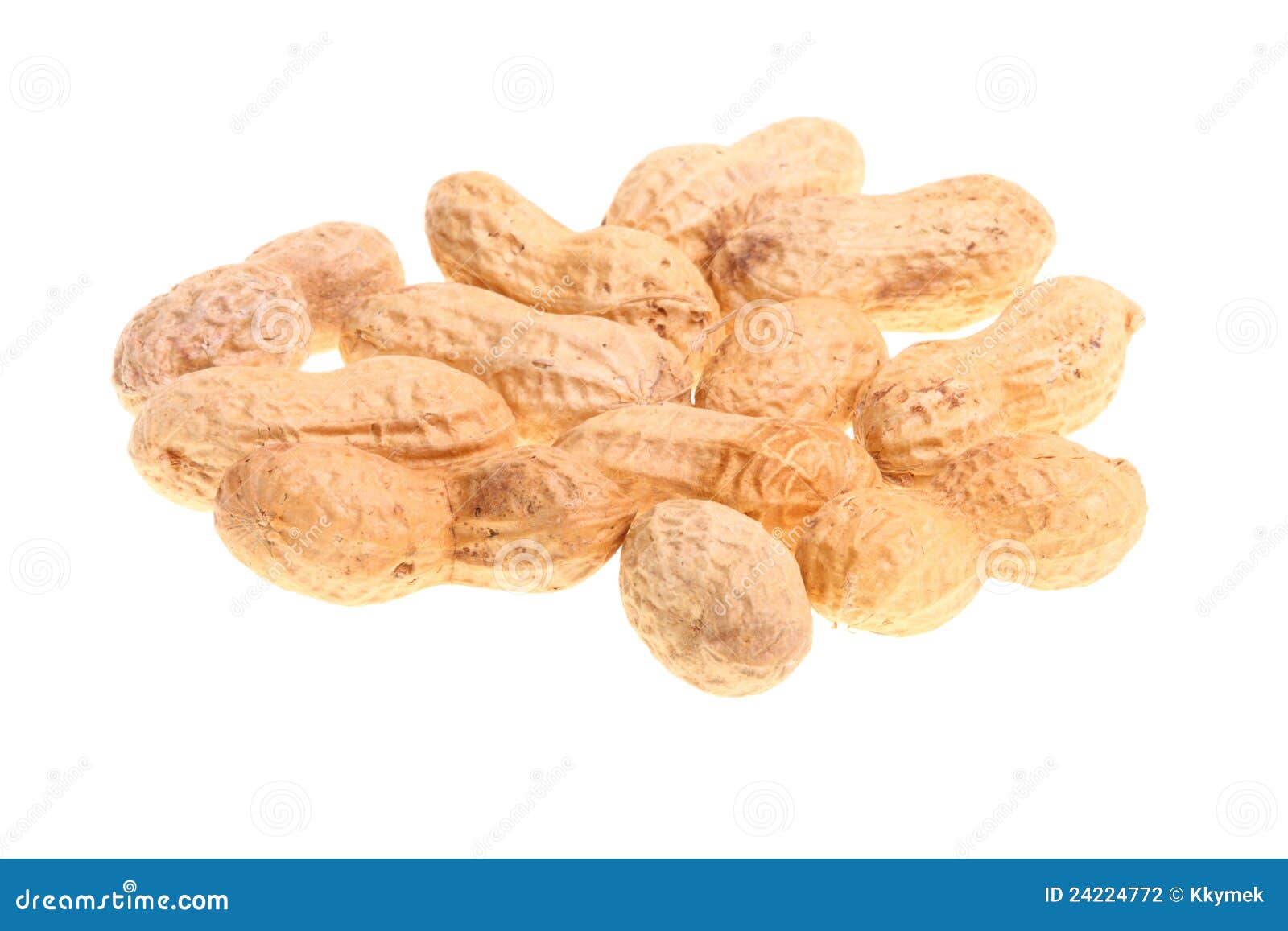Peanuts isolated on white stock photo. Image of closeup - 24224772