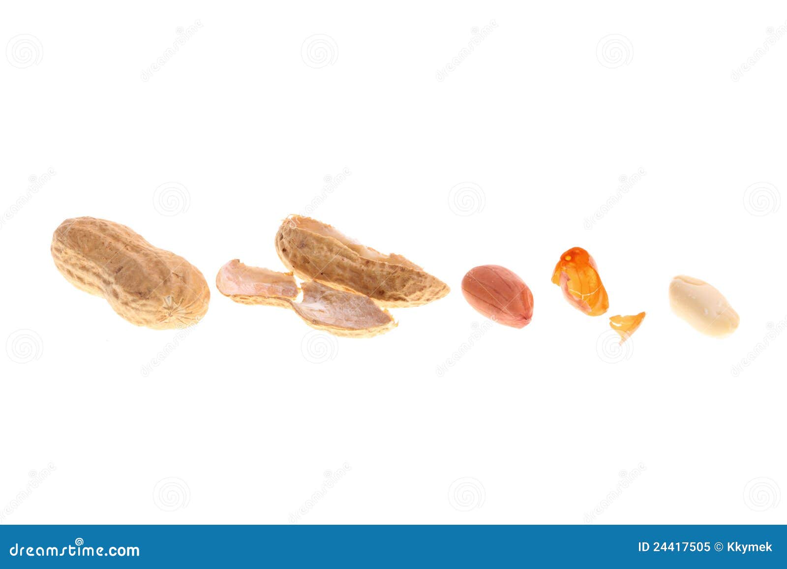 Peanuts isolated on white stock image. Image of peanut - 24417505