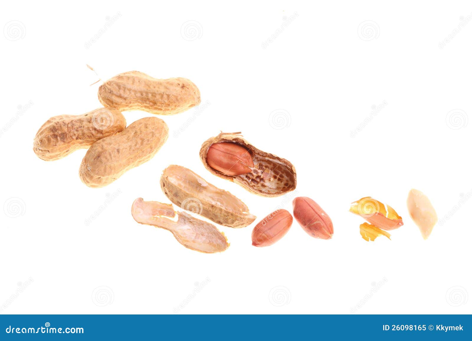 Peanuts isolated on white stock image. Image of group - 26098165