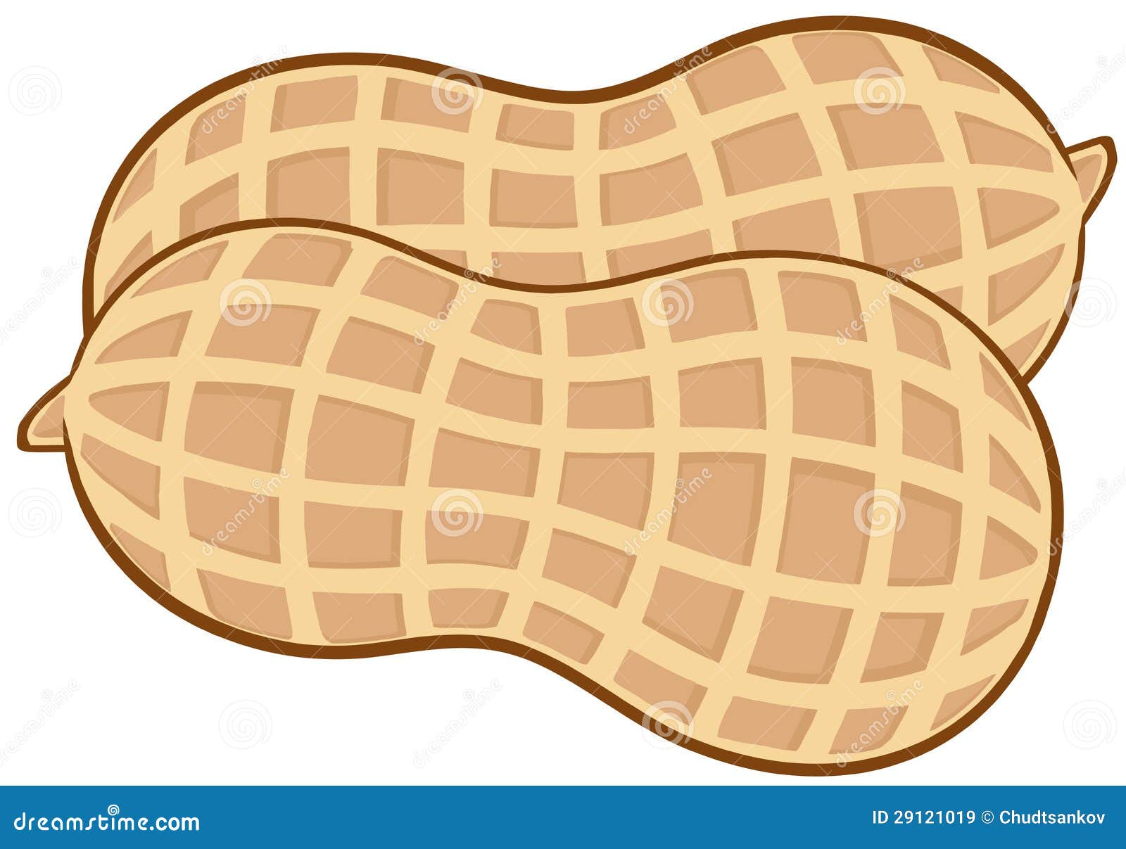 Peanuts Isolated of White stock vector. Illustration of salty - 29121019