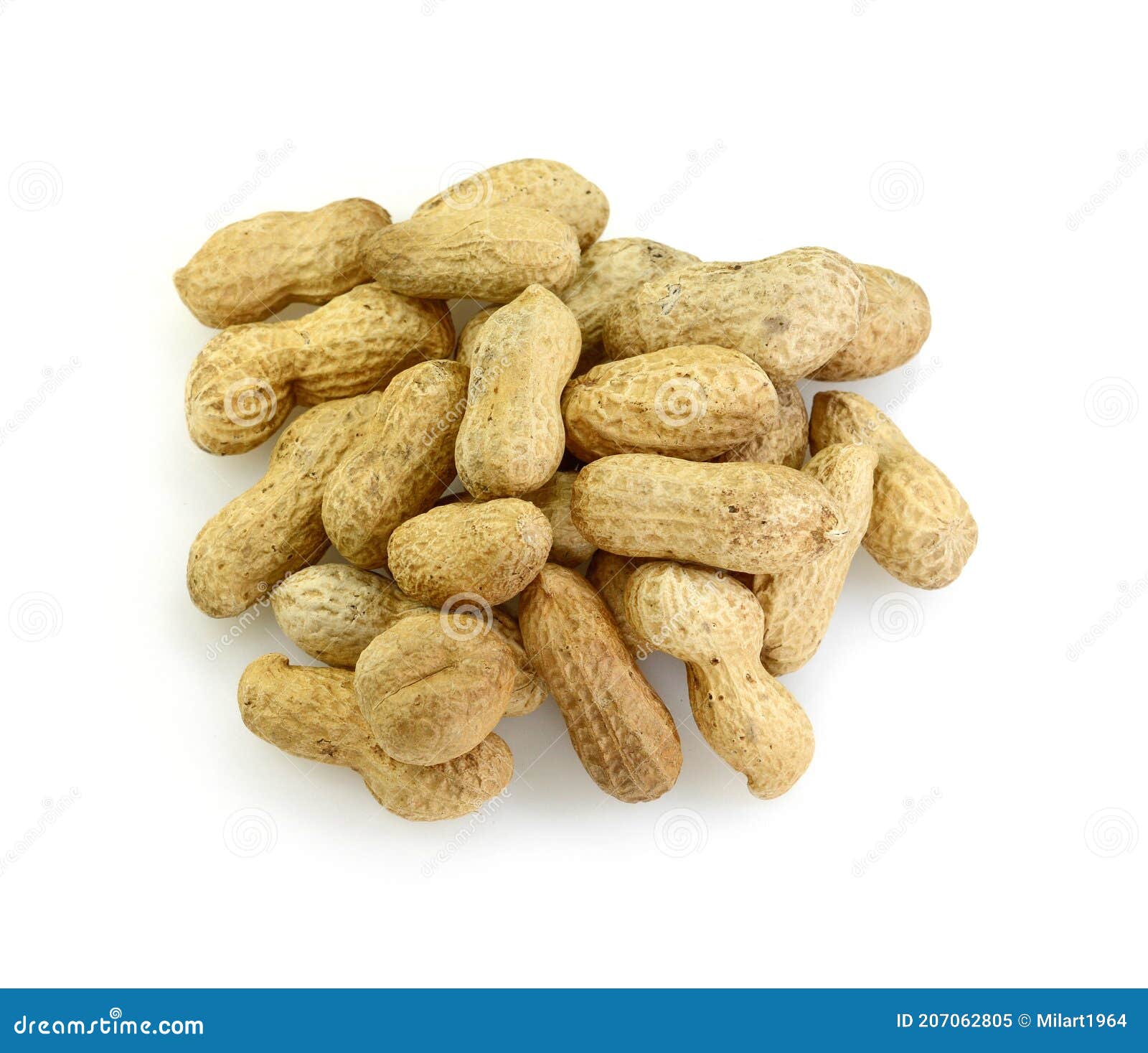 Peanuts Pod Isolated on the White Background. Stock Image - Image of ...