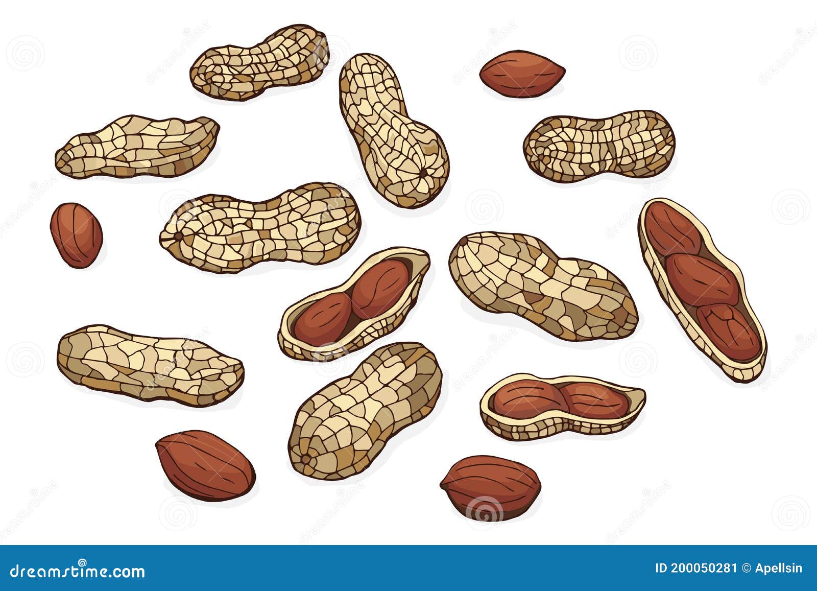 Peanuts On White Background. Whole And Peeled Peanuts, Isolated On ...
