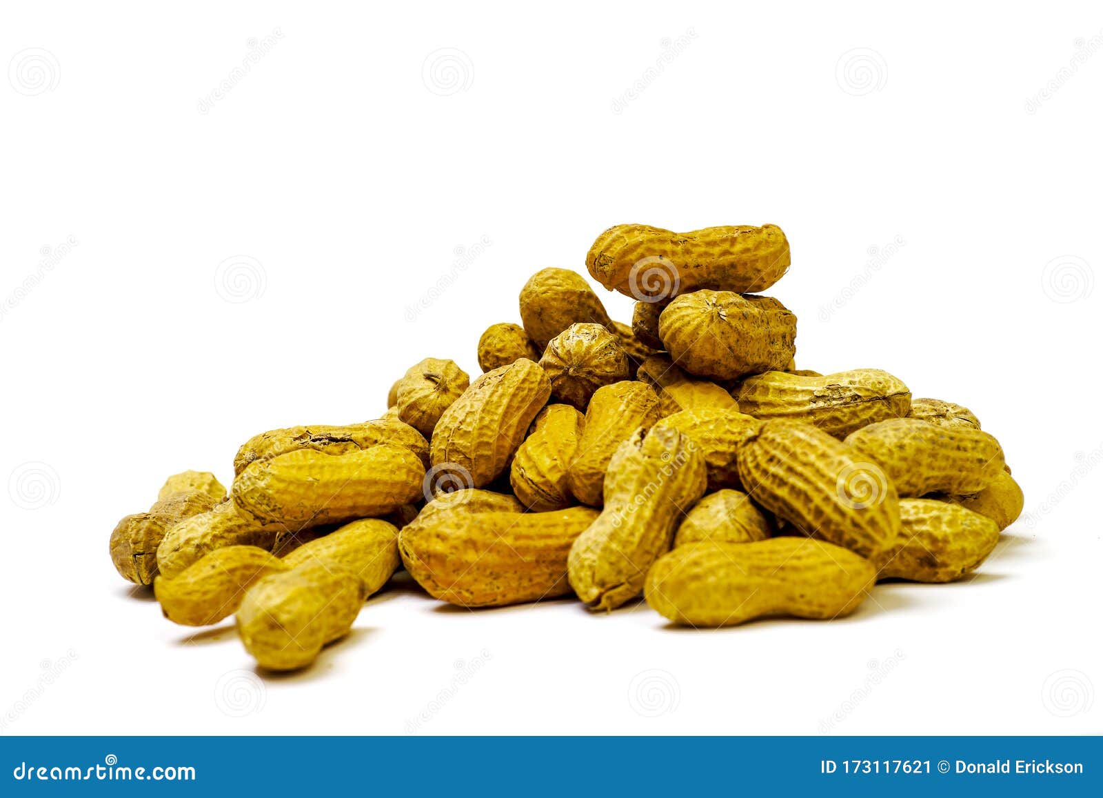 Peanuts Isolated on White stock image. Image of seed - 173117621
