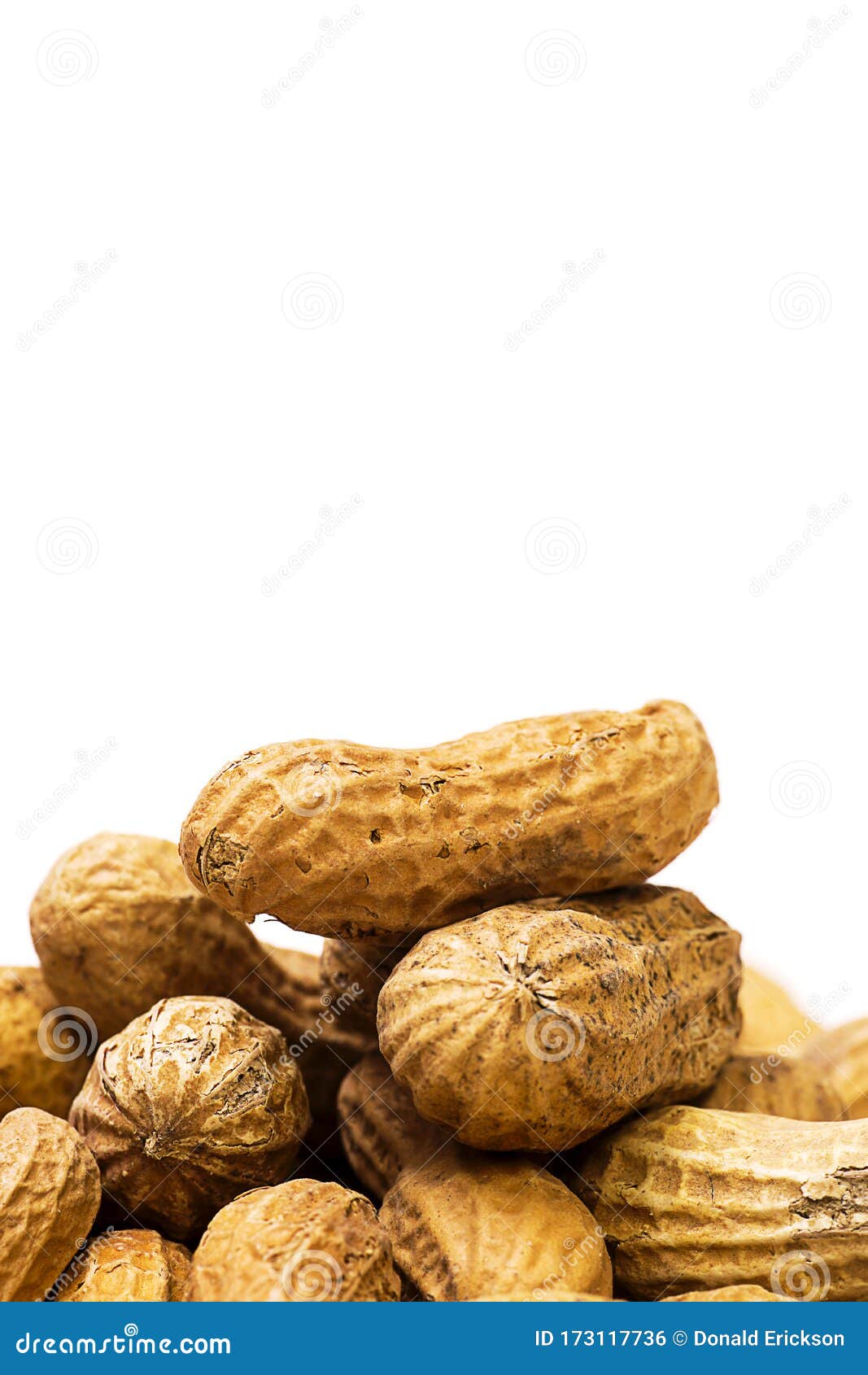Peanuts Isolated on White stock photo. Image of staple - 173117736
