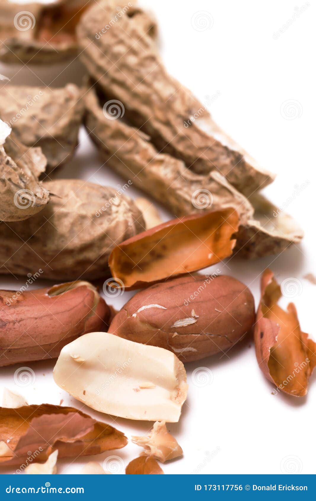 Peanuts Isolated on White stock photo. Image of food - 173117756
