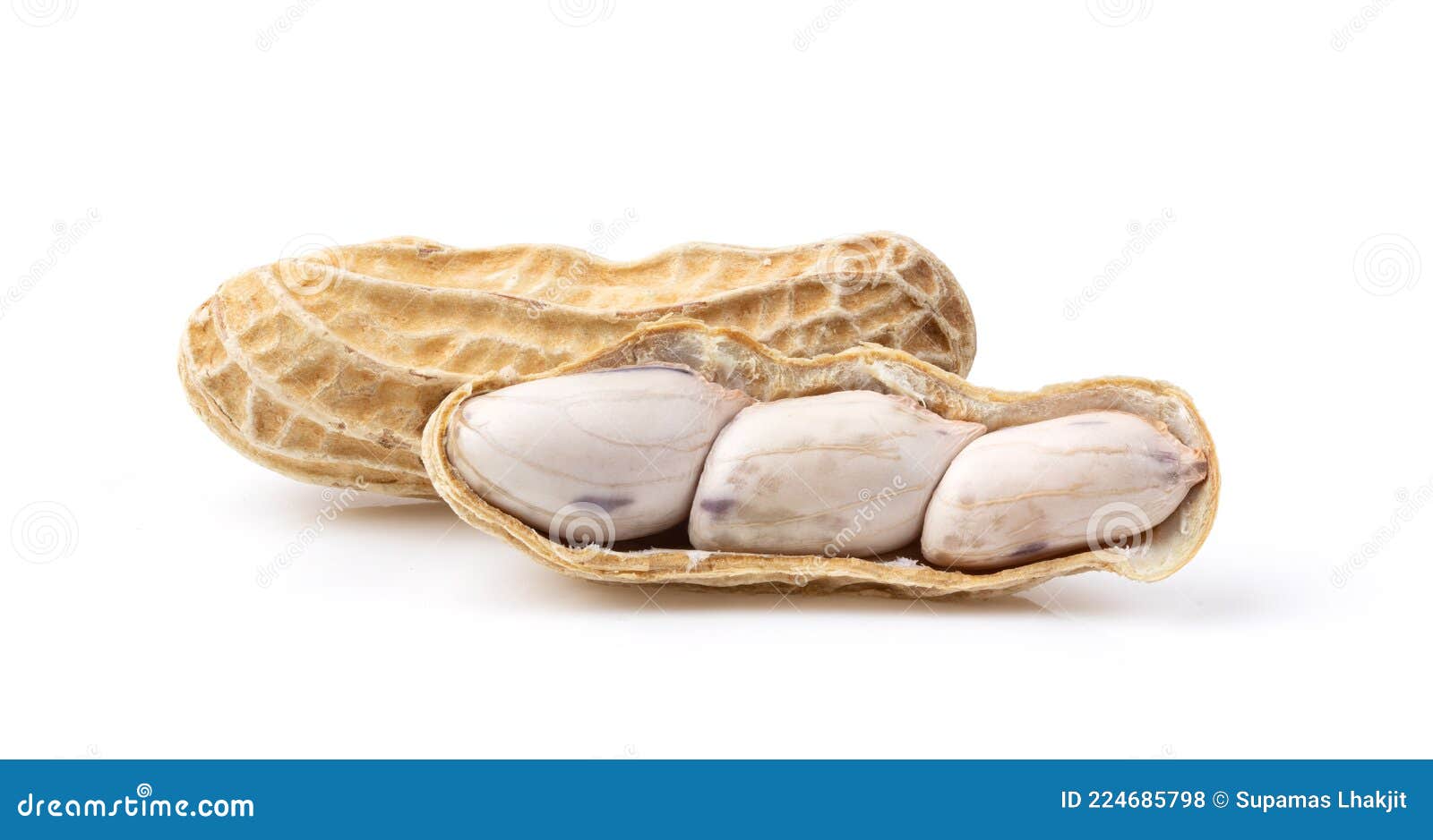 Peanuts isolated on white stock photo. Image of isolated - 224685798