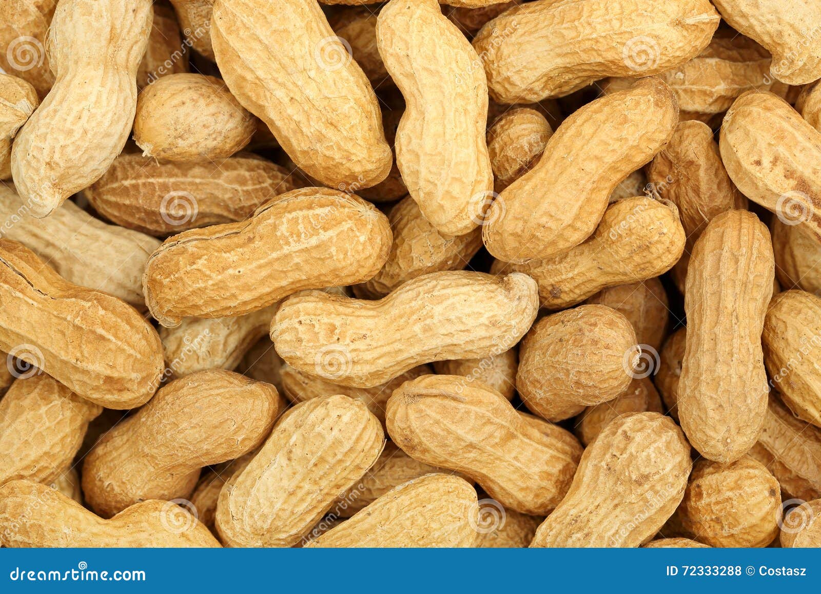 Peanuts stock photo. Image of healthy, edible, legume - 72333288