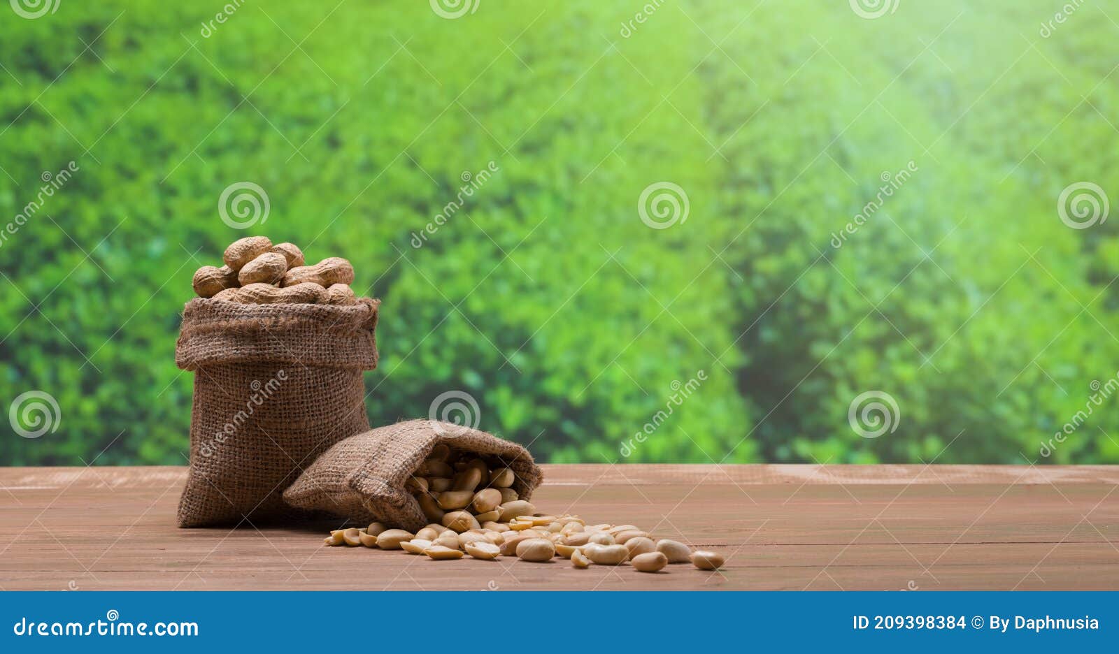 Green Bag Of Peanuts