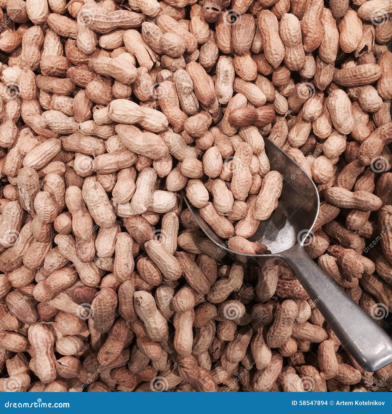 Peanuts stock photo. Image of nuts, food, peanuts, peanut - 58547894