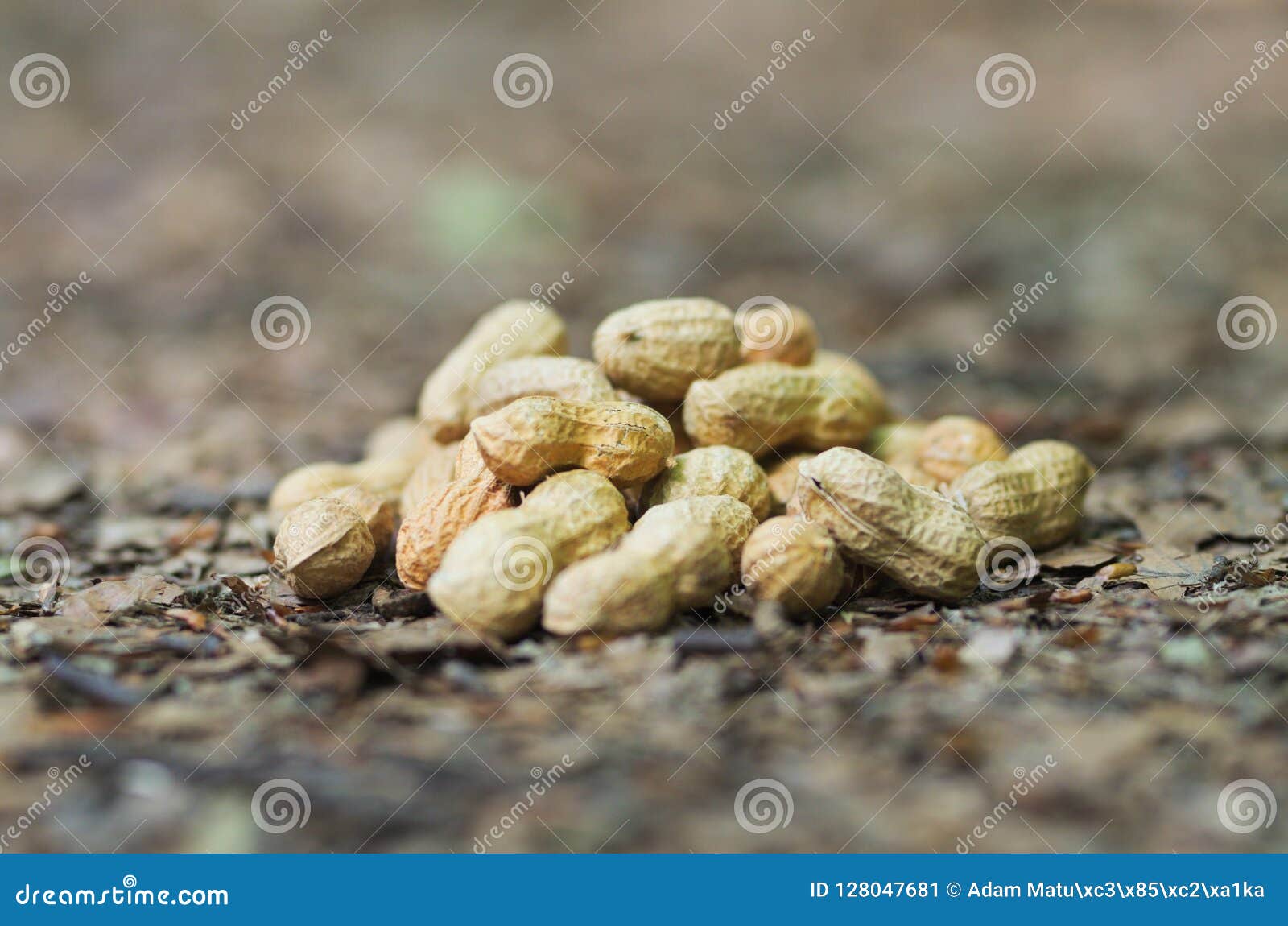 Peanuts in the nature stock image. Image of heap, nutrient - 128047681