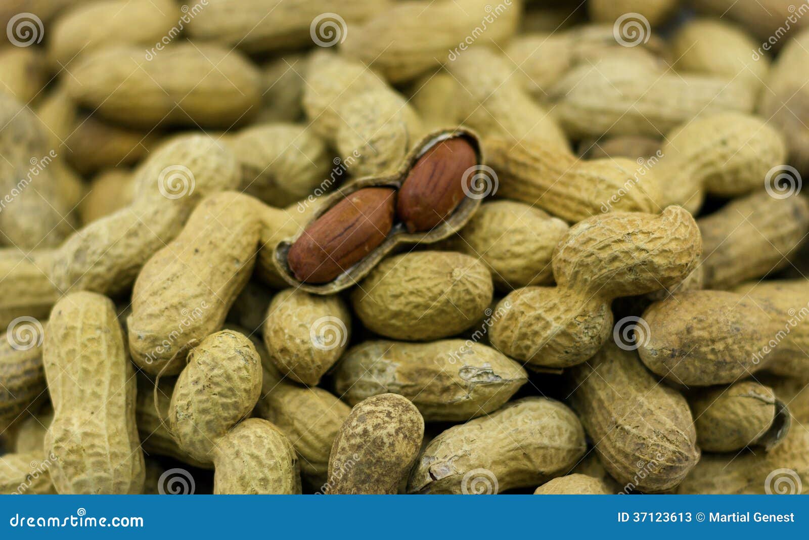 Peanuts stock image. Image of open, snack, ingredient - 37123613