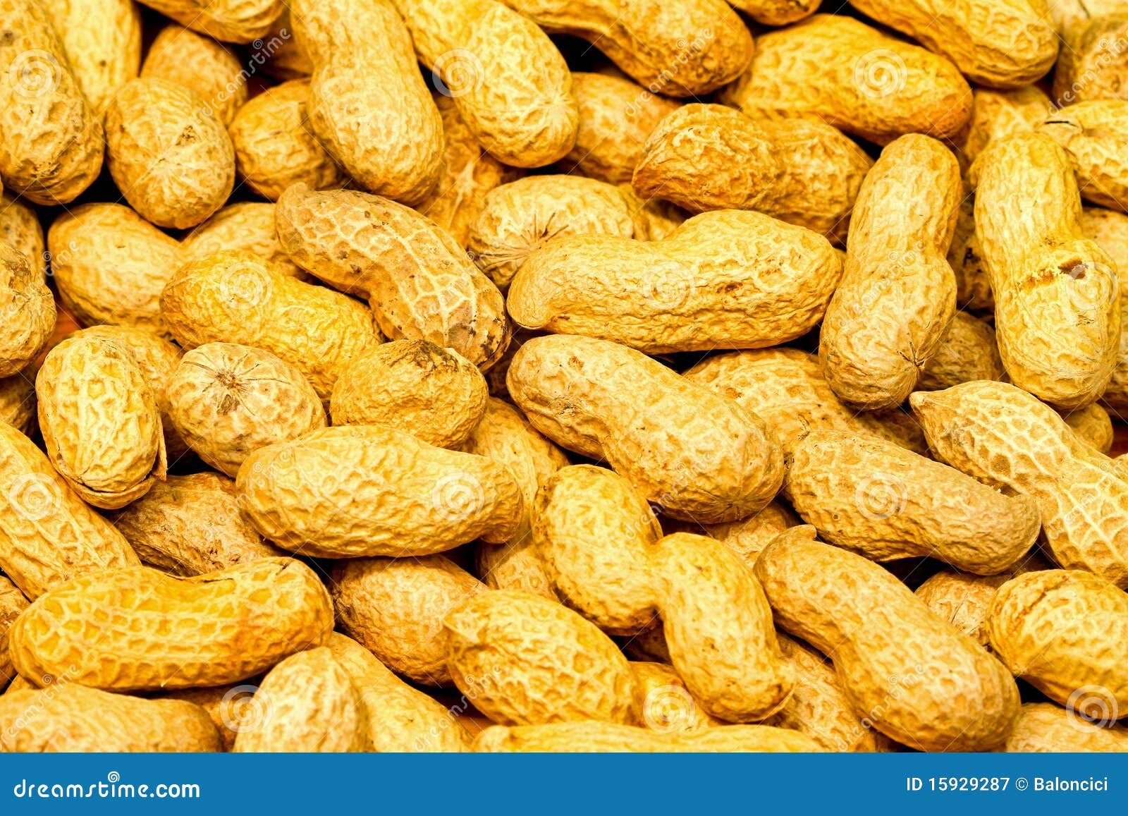 Peanuts pattern stock image. Image of peanut, snack, vegetable - 15929287