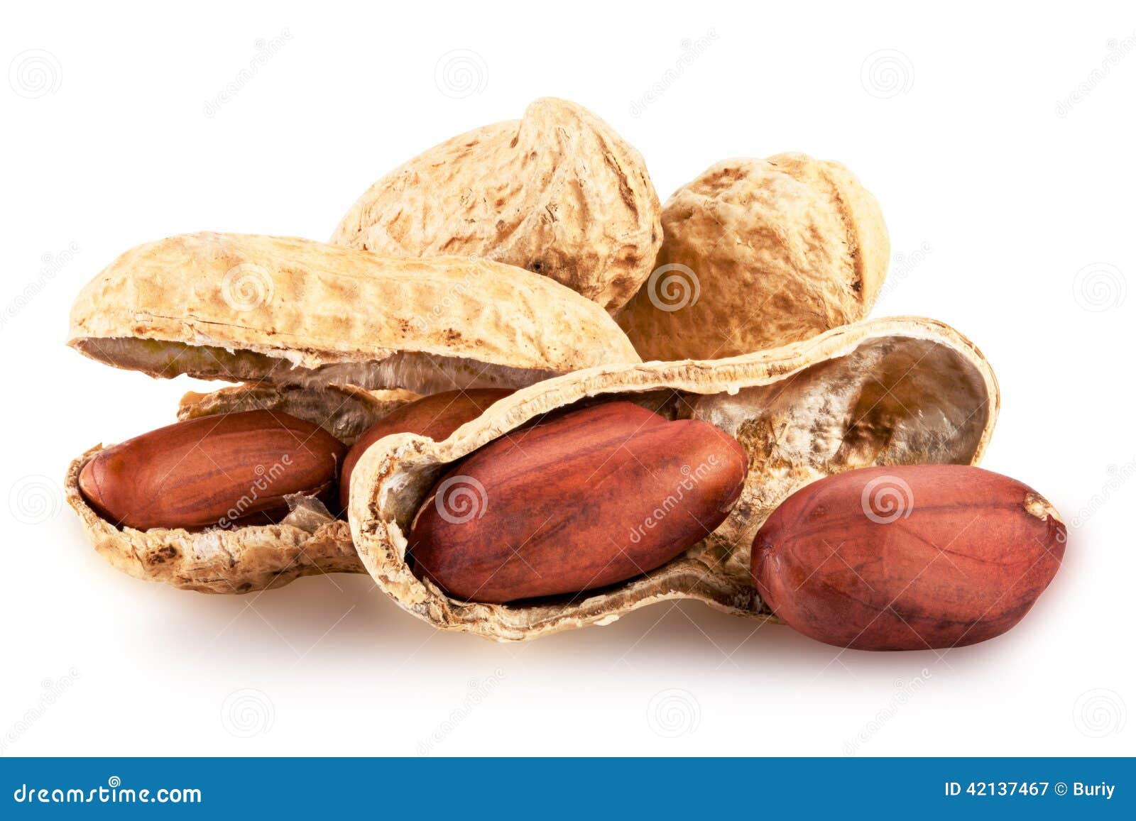 Peanuts stock image. Image of legume, healthy, hulled - 42137467