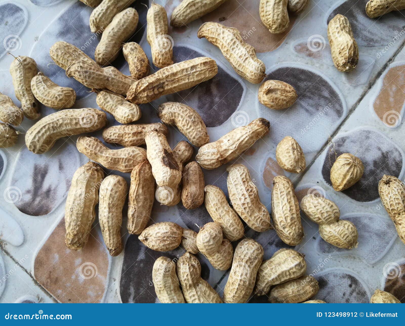 Peanuts stock photo. Image of ground, fruits, agriculture - 123498912