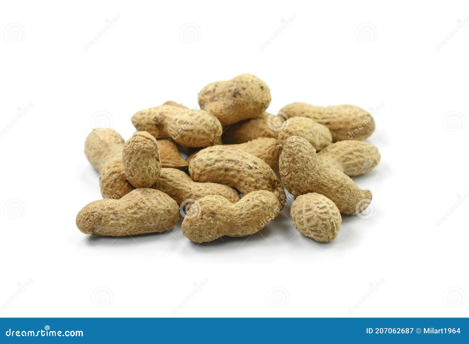 Peanuts Pod Isolated on the White Background. Stock Image - Image of ...