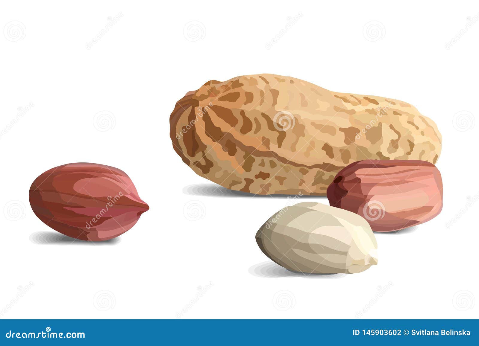 Peanuts in Realistic Style, Organic Snack Close Up Vector Illustration ...