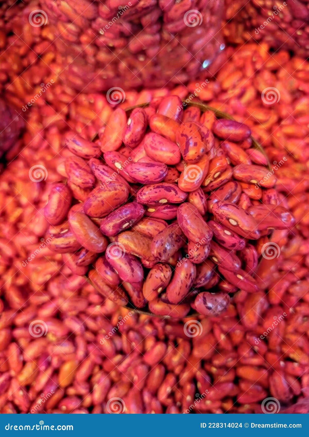 Peanuts Red food stock photo. Image of dish, petal, cuisine - 228314024