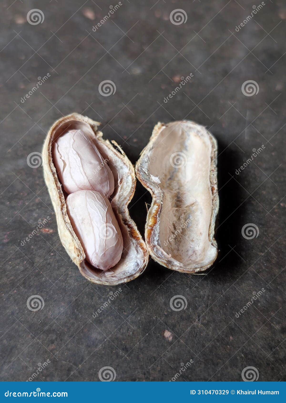 Peanuts stock image. Image of produce, invertebrate - 310470329