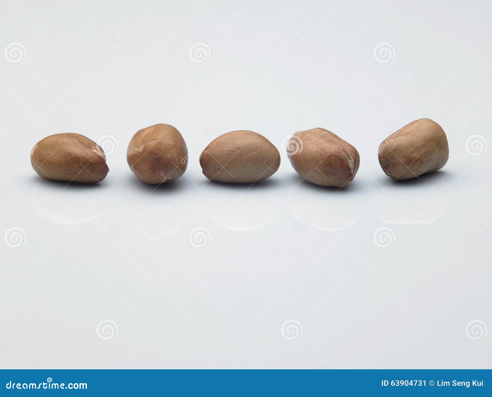 Peanuts stock image. Image of fixings, isolated, food - 63904731