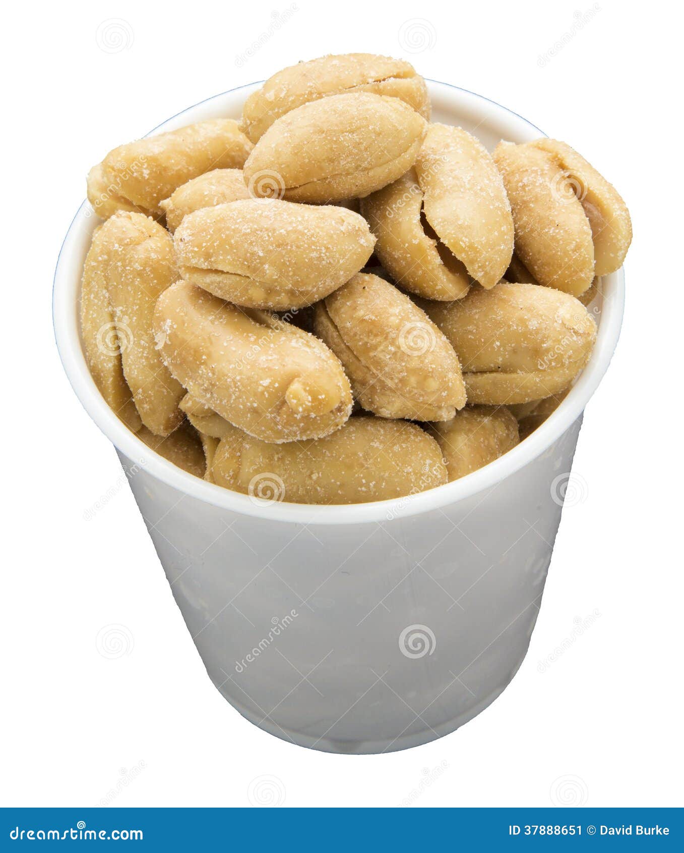 Peanuts Salted Shelled Sample Cup Isolated Stock Image - Image of white ...