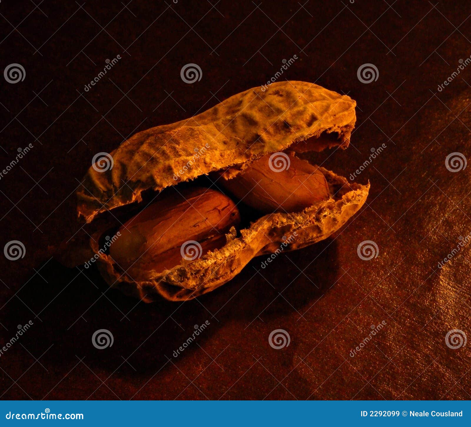 Peanuts in the shell stock image. Image of inside, food - 2292099