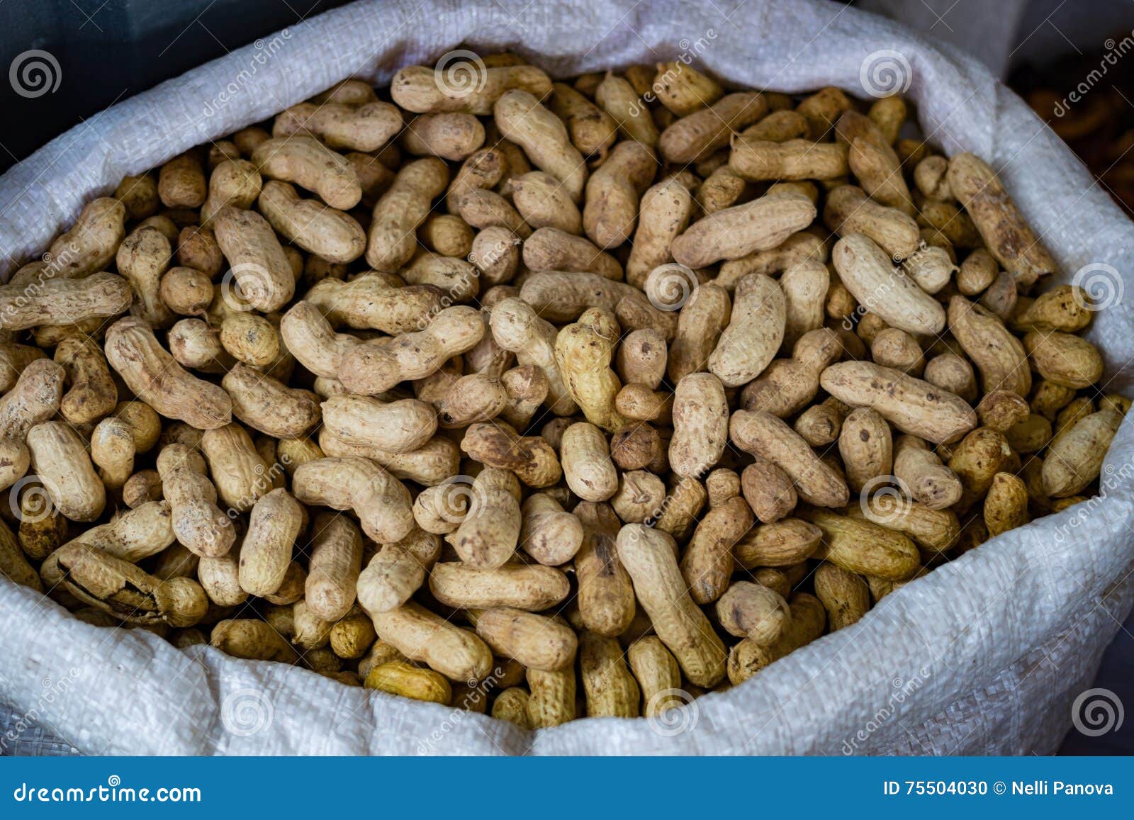 Peanuts in the Shell is in the Bag Stock Photo - Image of nature, macro ...