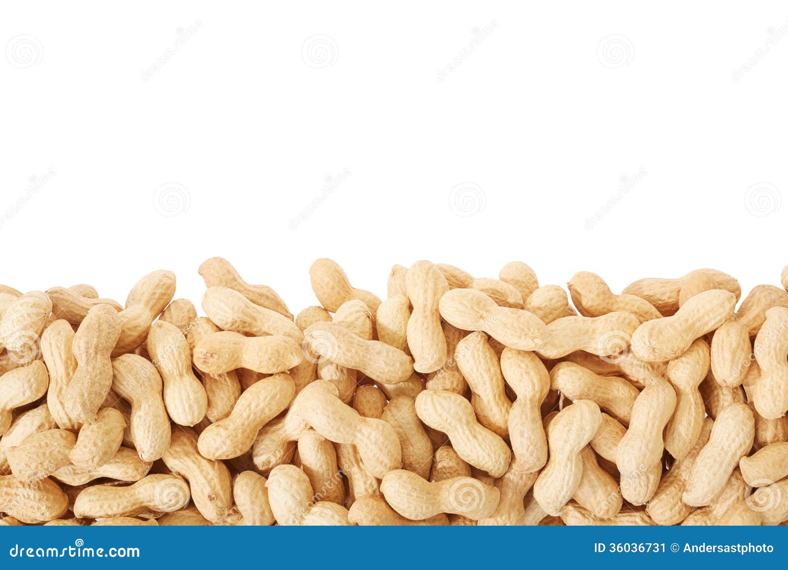 Peanut Border Clip Art