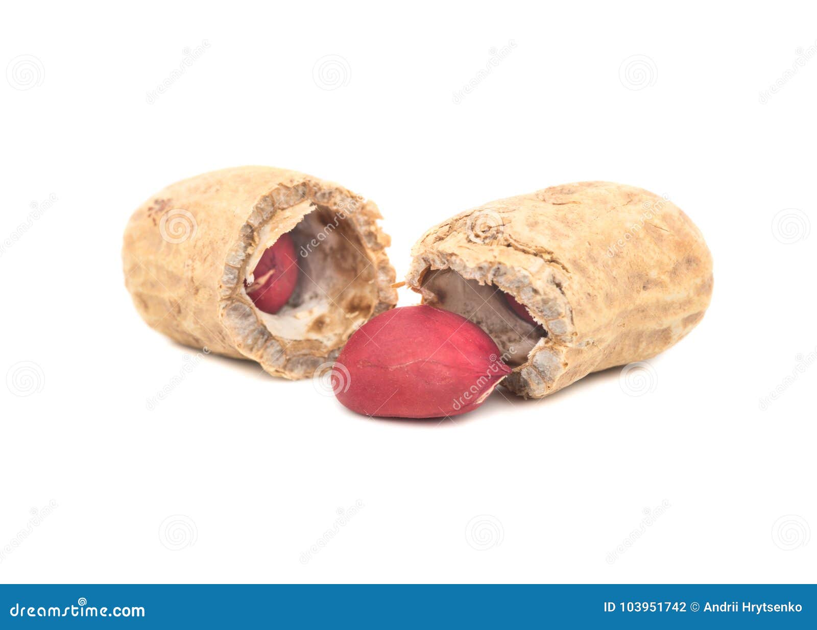 Peanuts in shell stock photo. Image of natural, healthy - 103951742