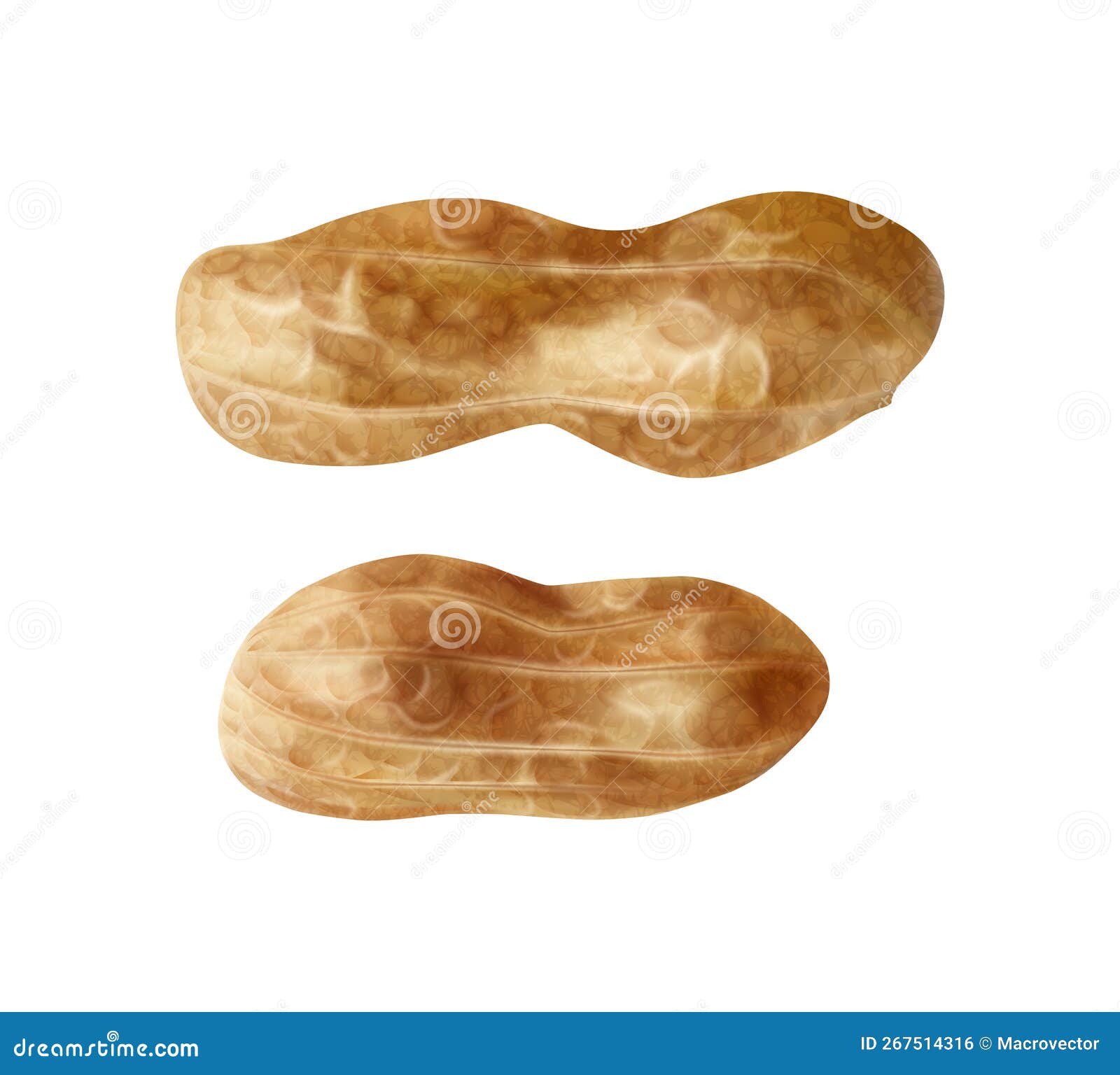 Peanuts in Shell Composition Stock Illustration - Illustration of ...