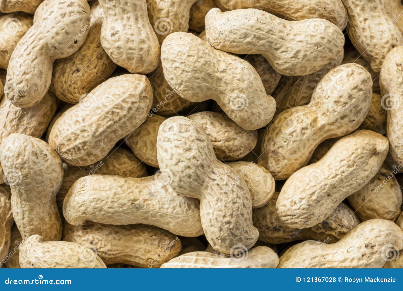 Peanuts In A Shell In A Slide Royalty-Free Stock Photography ...