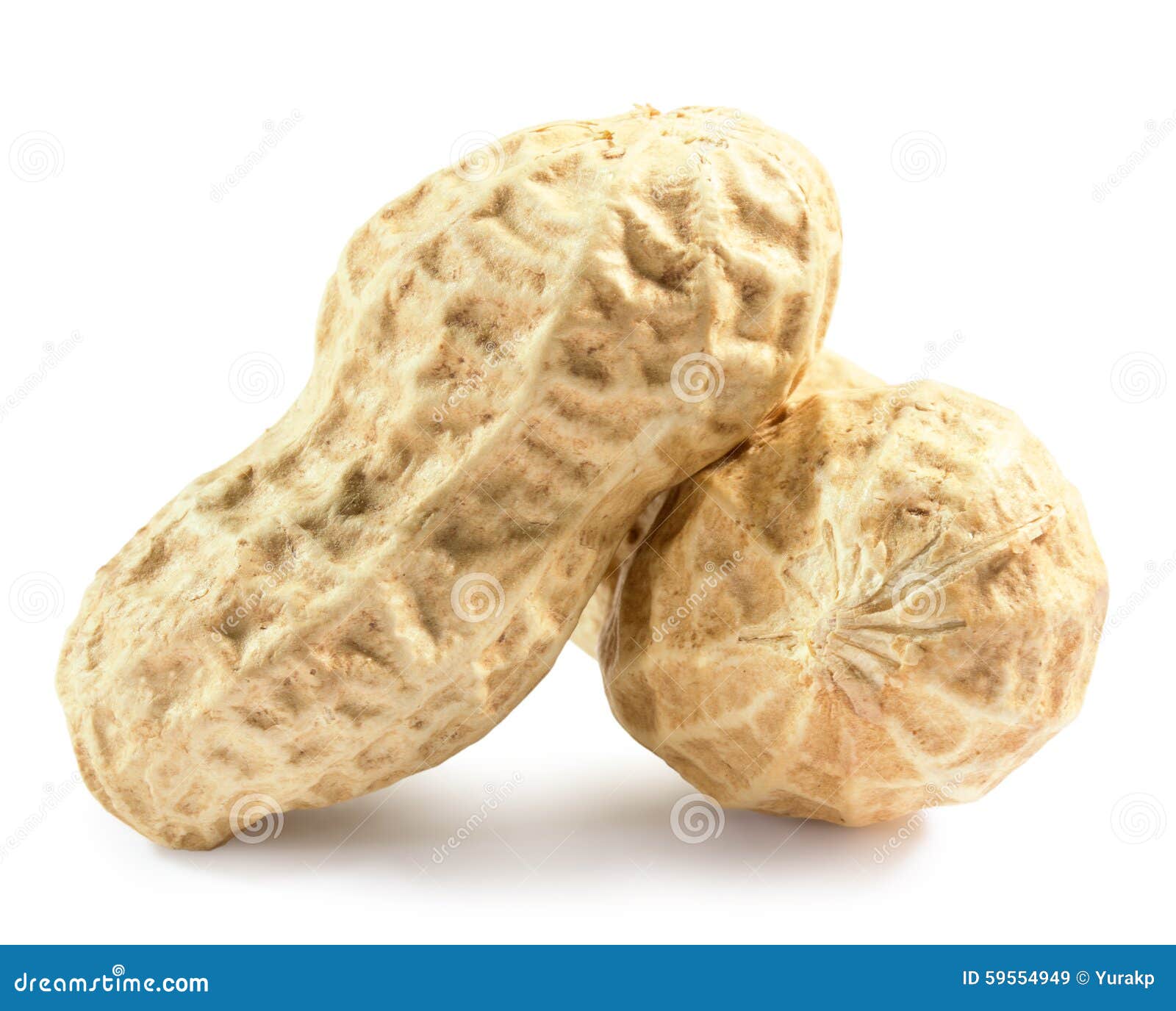 Peanuts in Shell Isolated on the White Background Stock Image - Image ...