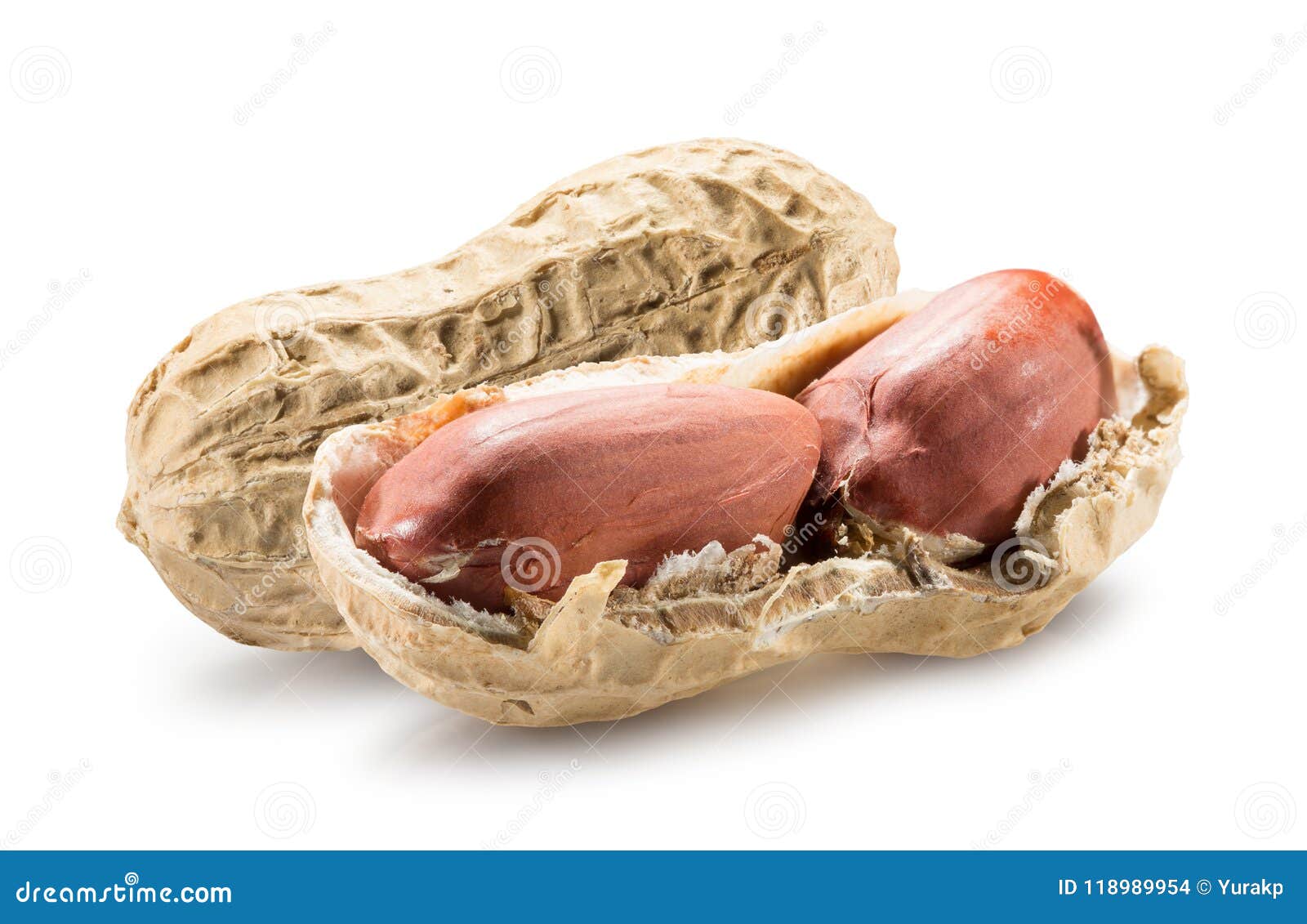 Peanuts in Shell Isolated on a White Background Stock Photo - Image of ...