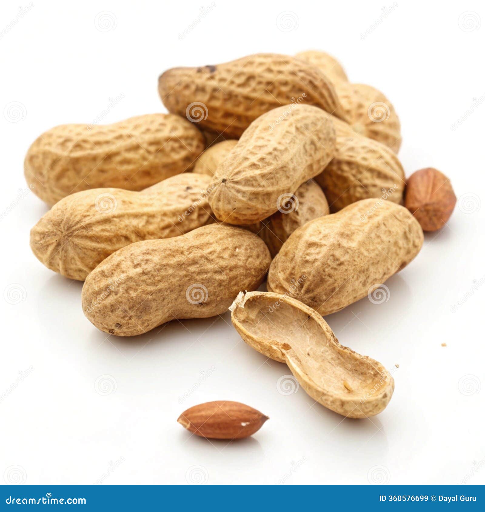 Two Peanuts In Shell Showing Lines Representing Texture Of Nutshell ...