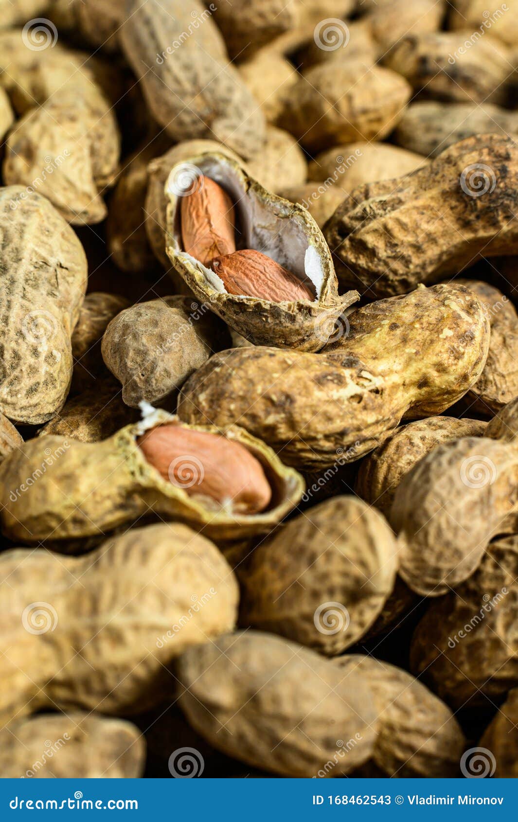 Peanuts in a Shell. Organic Raw Groundnut. Black Background Stock Image ...