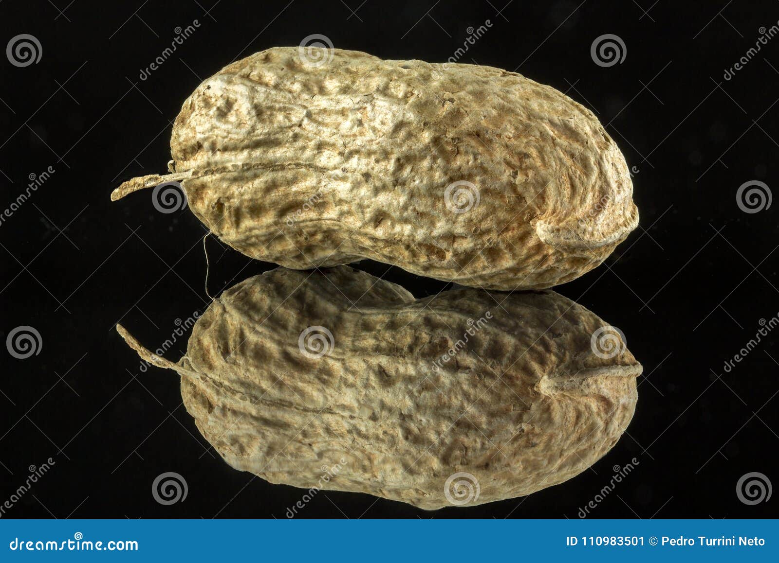 Peanuts In A Shell In A Slide Royalty-Free Stock Photography ...