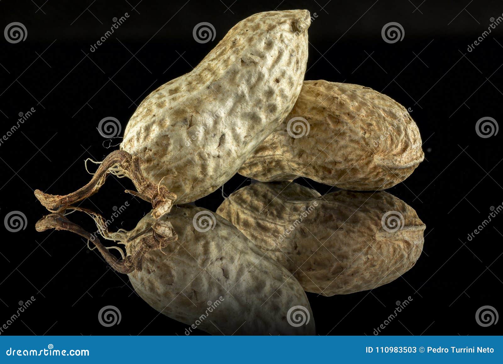 Peanuts In A Shell In A Slide Royalty-Free Stock Photography ...