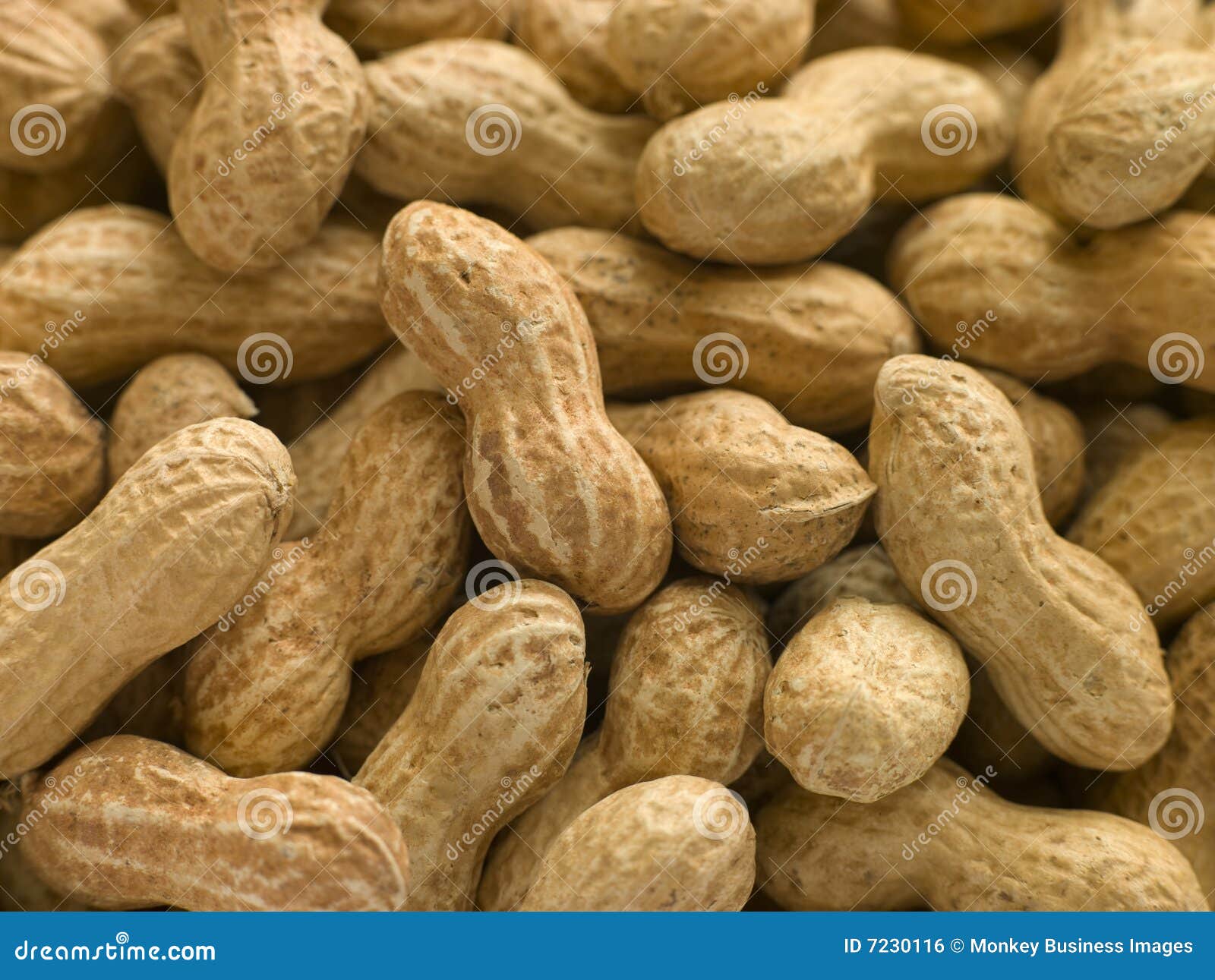 Peanuts in Shells stock photo. Image of close, shells - 7230116