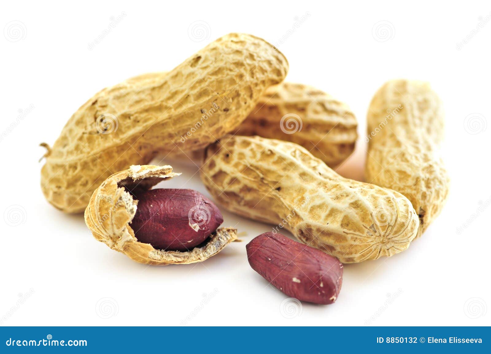 Peanuts and shells stock photo. Image of food, protein - 8850132