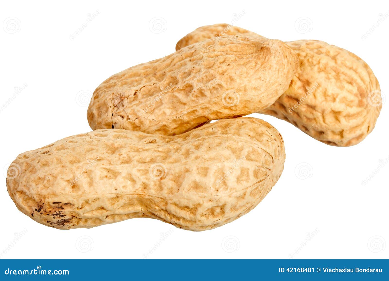Peanuts with shells stock image. Image of healthy, nuts - 42168481